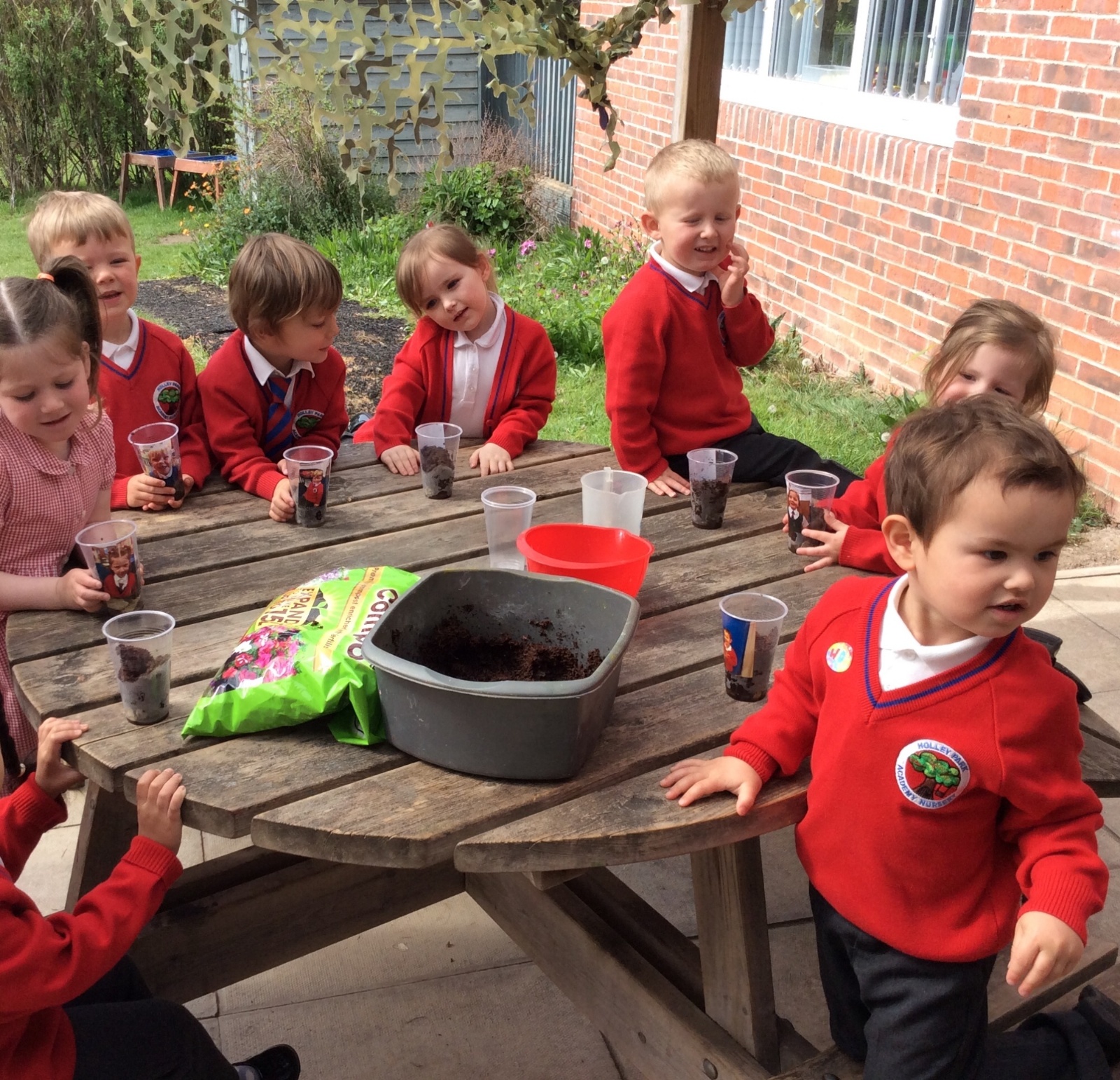 Holley Park Academy - Growing our Grass Heads!